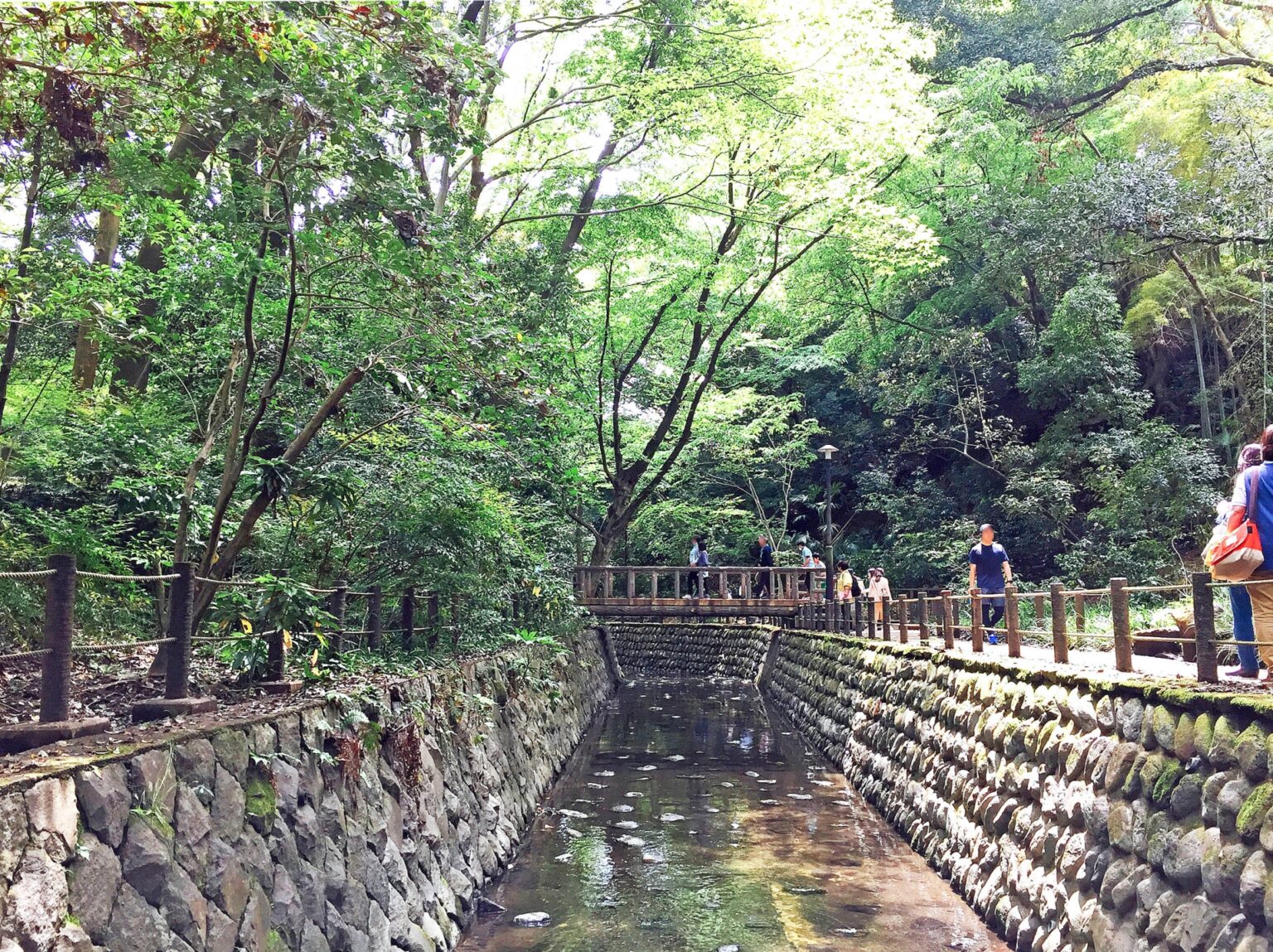 世田谷区ってどんな街？住みやすさと楽しさが詰まった魅力を紹介 | setagayadays