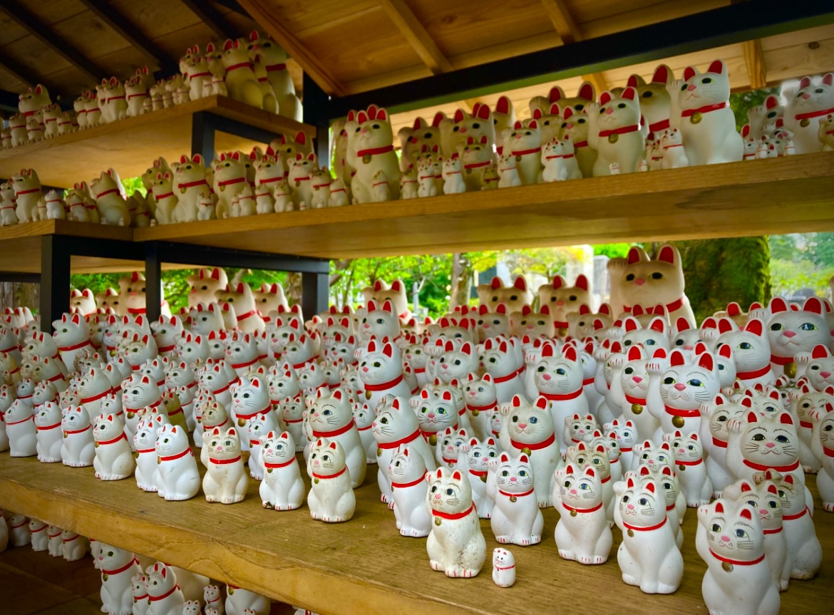 世田谷区ってどんな街？住みやすさと楽しさが詰まった魅力を紹介 | setagayadays