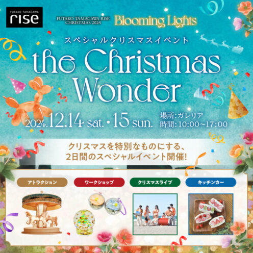 メリーゴーラウンドやワークショップで体感！「Blooming Lights」の幻想的な2日間【12/14-15】 | setagayadays