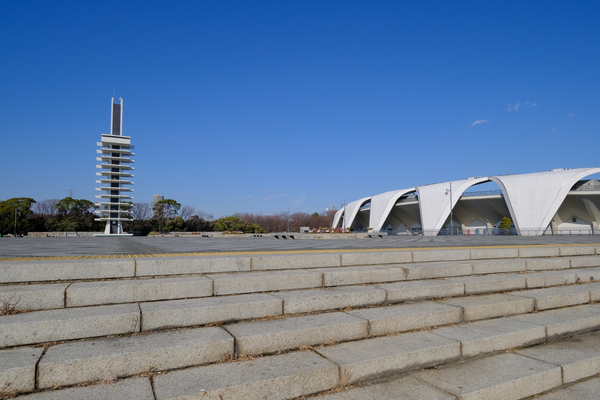 世田谷区でおすすめなお花見スポット7選！公園で春を満喫しよう | setagayadays