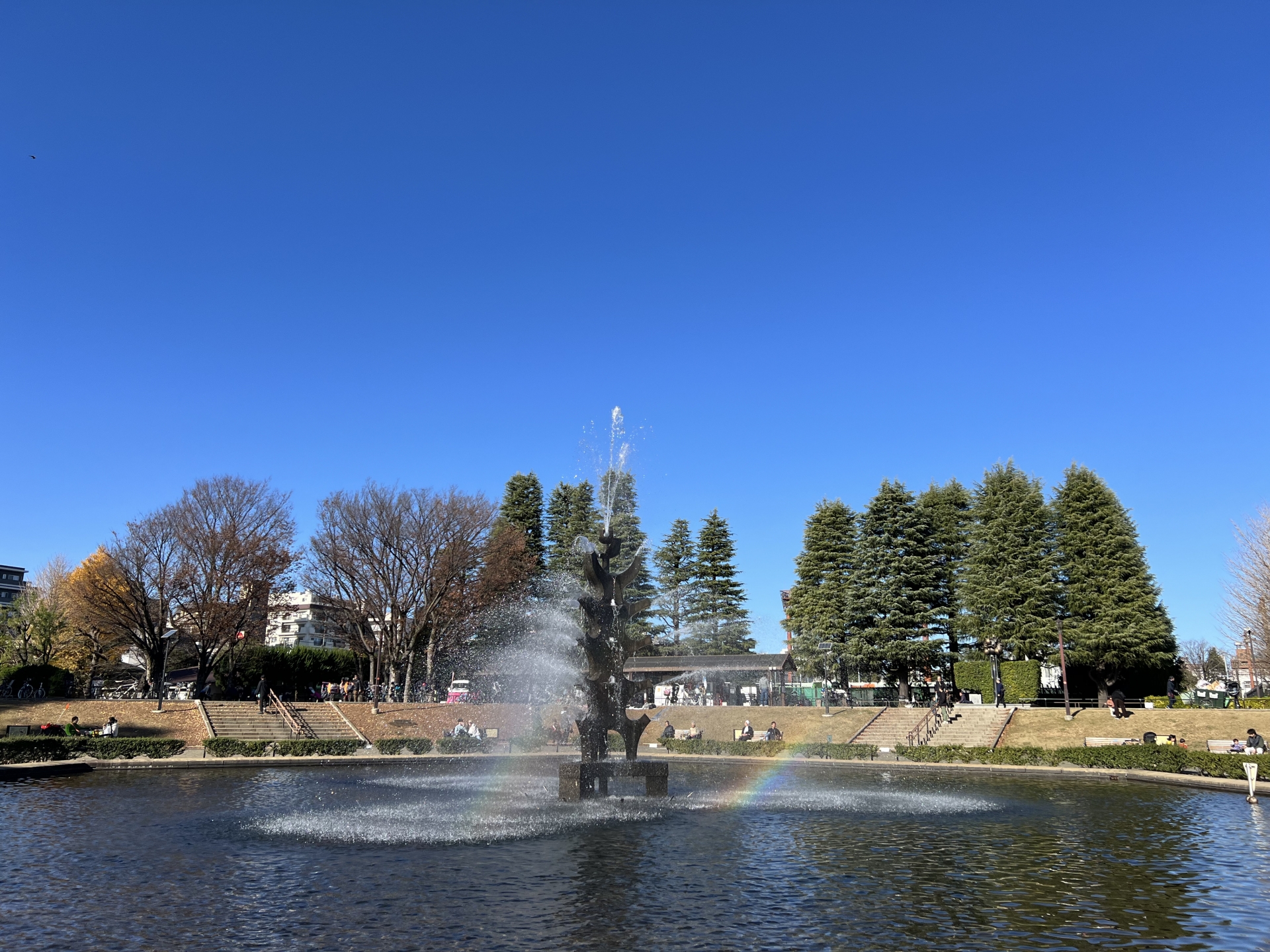 世田谷区でおすすめなお花見スポット7選！公園で春を満喫しよう | setagayadays